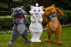 Welcome to Disney Character Central